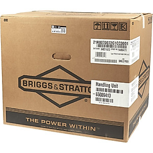 Briggs & Stratton 21R807-0072-G1 Simpson 11.5 HP Intek Engine, Black