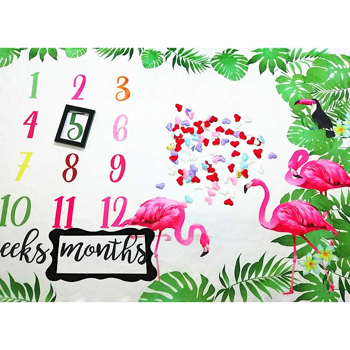 illikkuyax Baby Monthly Milestone Blanket, 40×60 Inches Infant First Year Pink Flamingo Milestone Blanket, Flannel Fleece, Photography Backdrop Photo Prop for Boy Girl