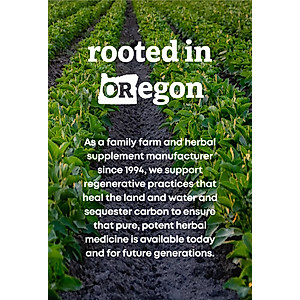 Oregon's Wild Harvest Aller-Aid with Quercetin Supplement, 90 Count