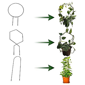 Metal Plants Climbing Trellis 3 Pack Wrought Iron Bonsai Plant Support Holder for Indoor Outdoor Garden Rose Flower Vine Metal Trellis