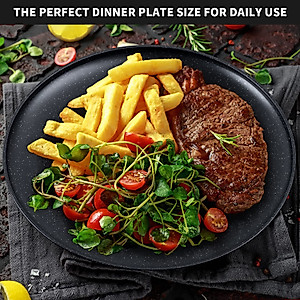 MISS BIG Dinner Plates, 10 inches Plastic Plates Set of 4,Lightweight Wheat Straw Plates, for Children & Adult Unbreakable Dinnerware Plates, No BPAs and No Chemical Dyes, Kids Plates(Black)