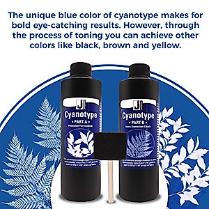 Jacquard Cyanotype - for Photographic Blueprints on Paper and Fabric - 2 Component Sensitizer Set - Bundled with Moshify Sponge Brush for Application