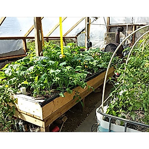 Aquaponics Auto Bell Siphon Kit 6" Media or Smaller Grow Bed Mini Garden! Great For Half 5Gal Dutch Buckets, Over 7000 Siphons Sold