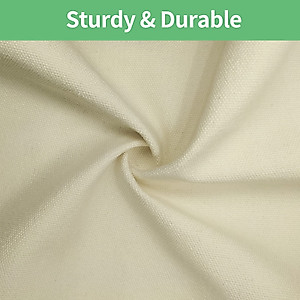 E&EY Canvas Tote Bag Blank Reusable Bag for Shopping DIY Crafts Book School Promotion (1 Pack)