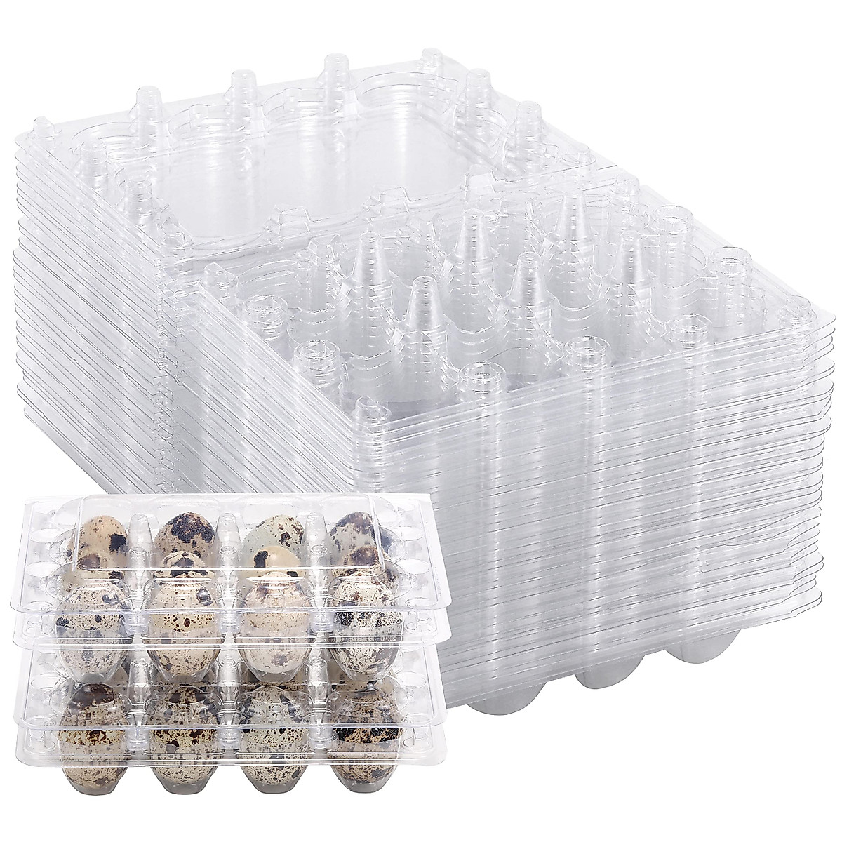 LayHyand 60 Pcs Quail Egg Cartons, Square Dozen Egg Boxes, Classical 3x4 Style Holds Up to Twelve 12 Count Small Quail Eggs Basket, Pigeon Eggs, Bulk Carton Quail Egg Tray Container for Refrigerator