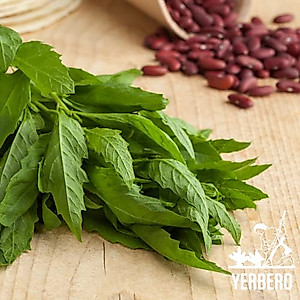 Yerbero - Dried Epazote Leaves Cut Herb 2 Oz (56 g) | Hoja De Epazote Cortadas 100% Natural | Mexican Seasoning, Tea, Edible | Epazote De Comida | Resealable Bag - Product Of Mexico.