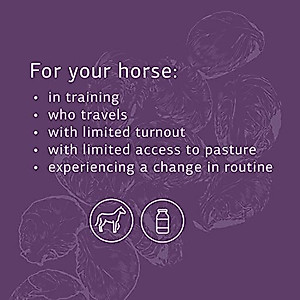 Standard Process Equine GI Support - Whole Food Horse Supplies for Digestive Health and Liver Support with Magnesium Citrate, Buckwheat, Sunflower Lecithin, Kale, Inulin, Brussels Sprouts - 30 Ounce