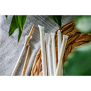 AGAVE FIBER STRAWS - 500ct Individually Wrapped Biodegradable 8.2" Straws by Ecoware. Plant Based, Eco-friendly, 100% Recyclable, Alternative to Paper & Plastic Straws