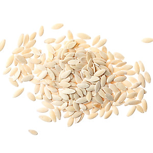 Cucumber Seeds for Planting – 50 Non-GMO Heirloom Garden Seeds, Plant & Grow Pioneer Hybrid Cucumber Seeds Home Outdoor Garden – Great Gardening for Abundant Harvests, 1 Packet