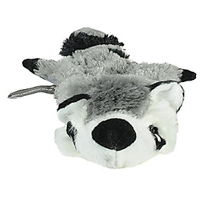 Hyper Pet Critter Skinz Raccoon Stuffless Dog Toy, Medium