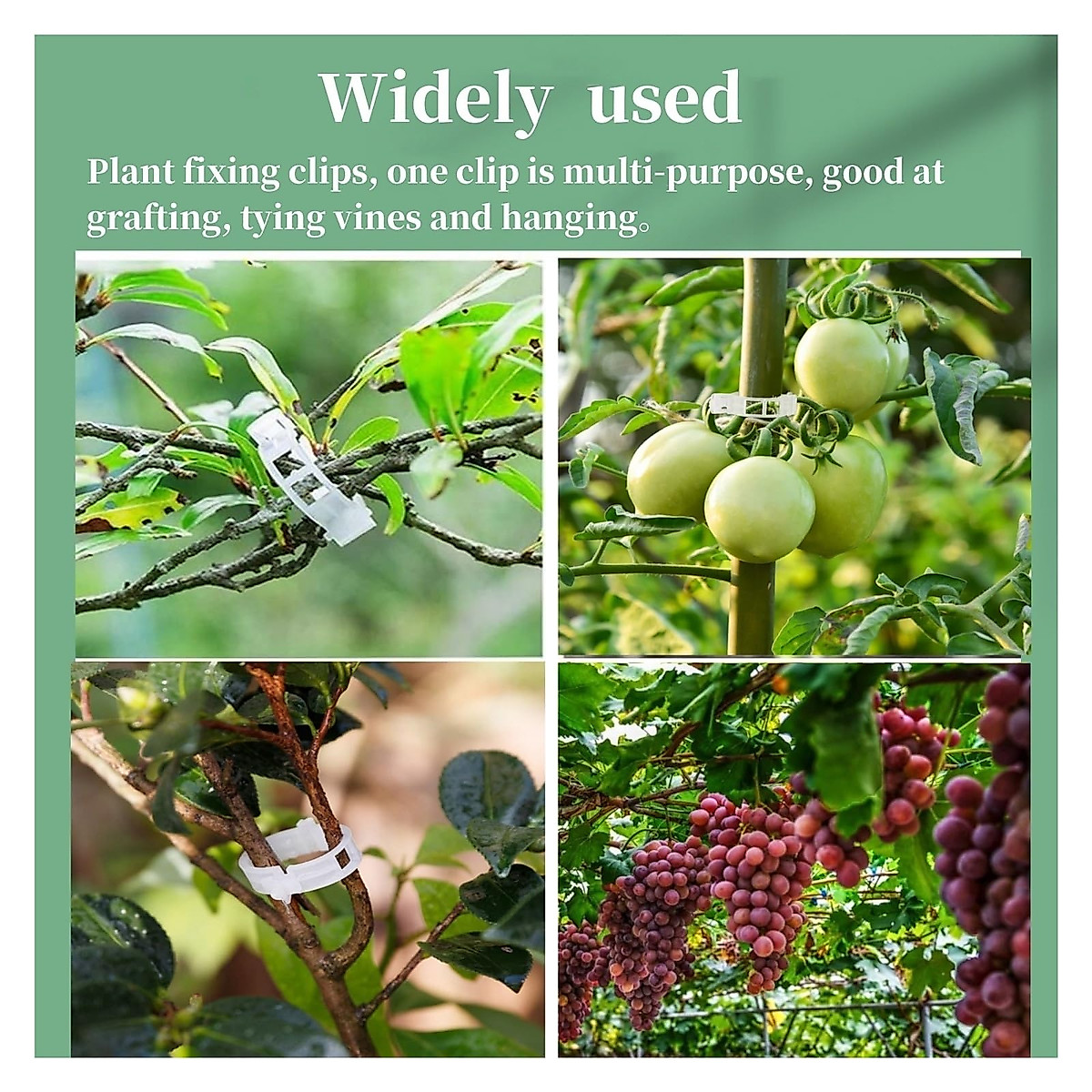 Secured Plastic Plant Clip, 2024 Upgrade Plant Support Clips, Garden Clips for Climbing Plants, Tomato Clips, Plastic Trellis Clips Plant Support Clips，Plastic Trellis Clips Plant Support Clips Grape