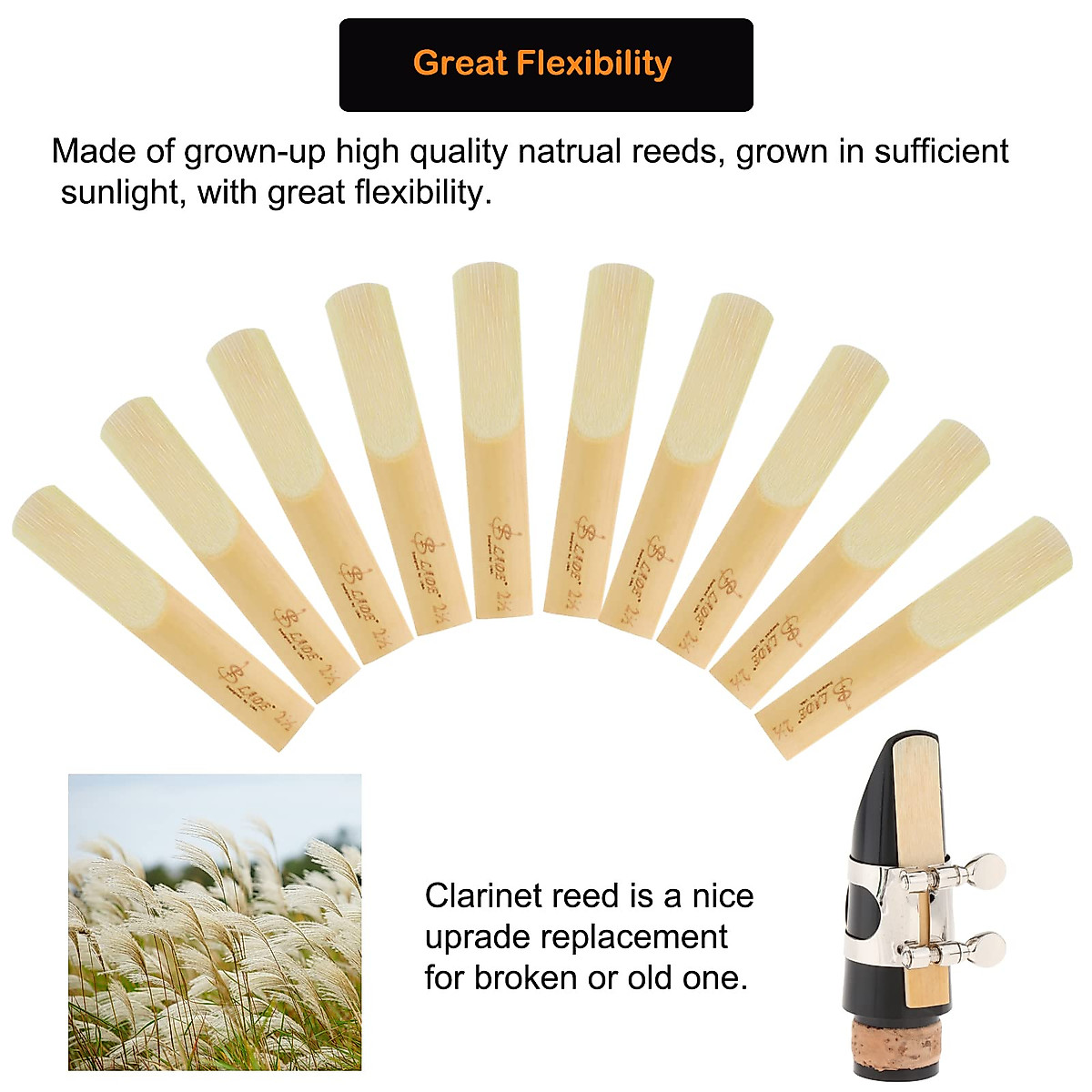 Clarinet Reed 2.5, Bb Clarinet Reeds Strength 2.5 with Plastic Case, 2.5 Clarinet Reeds, Pack of 10