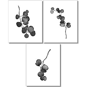 Black And White Wall Art - Eucalyptus Leaves - Botanical Art Prints - Minimalist Pictures - Set of 3-8x10 - Unframed