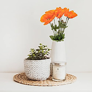 Softflame Artificial/Fake/Faux Flowers - Poppy Orange 6PCS for Wedding, Home, Party, Restaurant and Veterans Day