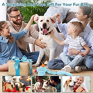 Fuufome Squeaky Dog Toys for Medium and Small Dogs:Interactive Tug of War Dog Toy for Puppy Teething-Great Plush Dog Toy for Dogs to Keep Them Busy