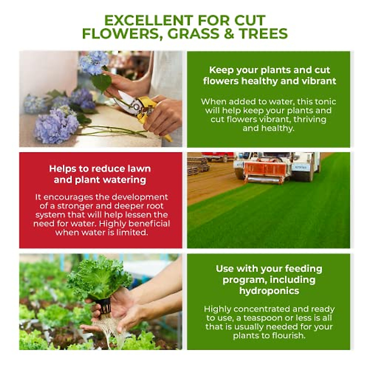 Hormex Vitamin B1 Rooting Hormone Concentrate - Rooting Hormone for Hydroponics, Aeroponics, Established Plants, Cuttings and More, Indoor and Outdoor Plant Growth Stimulator Concentrate - (8oz)