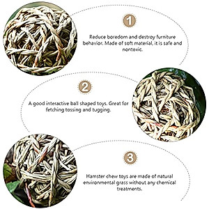 balacoo 1pc Pigs Weave Woven Throw Rabbits Round Chew Rattan for Seagrass Pet Molar Bite Hamster Ball Straw Animal Play Activity Small Parrot Grass Parrots Guinea Bunny Natural Pets
