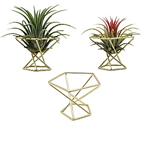 Nwsrayu Geometric Air Plant Holder Airplants Rack Metal Plants Stand Planter Shelves Himmeli Living Decor Tillandsia Pot Containers (Gold 3pcs)