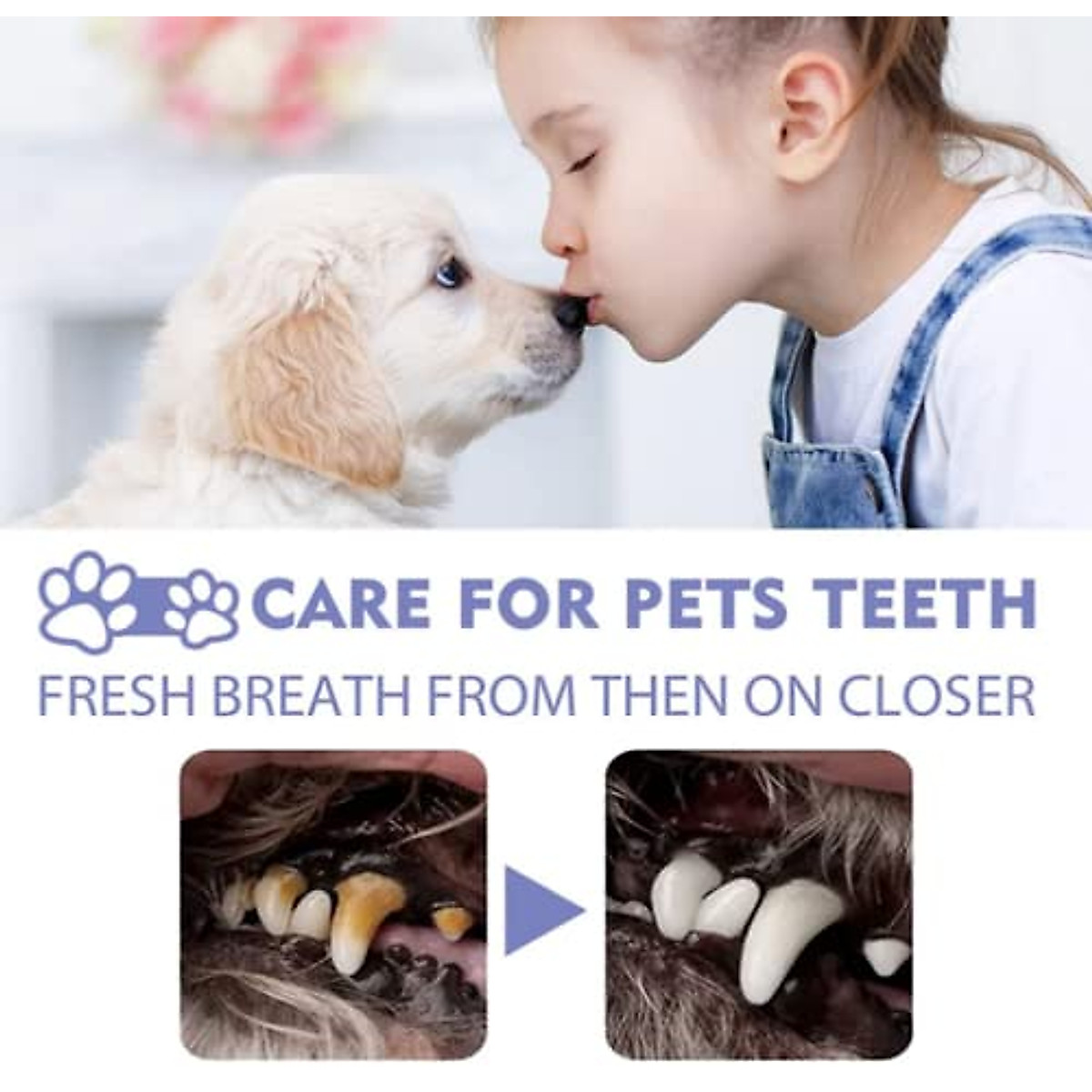 Pet Clean Teeth Spray, 2023 New Formula for Dogs & Cats, No Brushing Required, Freshens Breath, Prevents Plaque & Tartar, Natural Oral Care Spray (1pc)