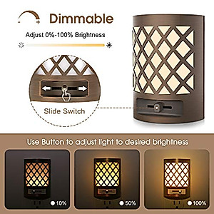 DORESshop Farmhouse Night Light Plug in, Dimmable LED Dusk to Dawn Sensor Night Light, Adjustable Brightness 110V, Soft White 3000K for Bedroom, Hallway, Nursery