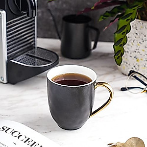 Stone Lain Porcelain 16 Piece Dinnerware Set, Service for 4, Black and Golden Rim