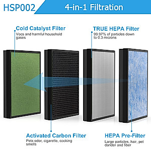 Vegebe 2-Pack Replacement Filter, Compatible with HATHASPACE® HSP002 Smart True 2.0 Air Purifier