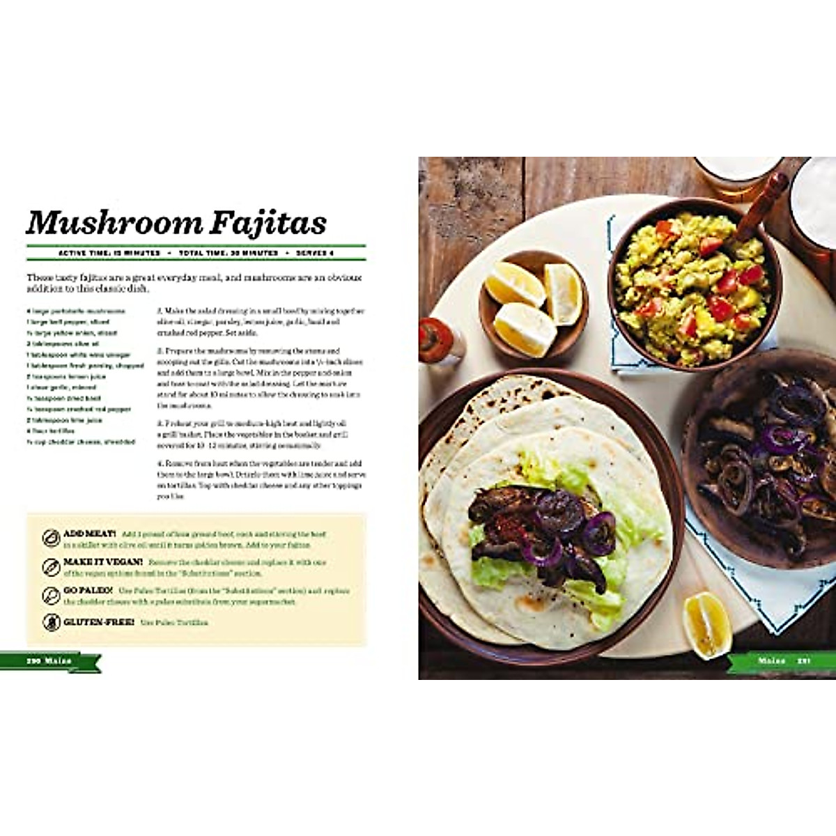 From Garden to Grill: Over 250 Vegetable-based Recipes for Every Grill Master (Spring Cookbook, Summer Recipes, Gardening Meals, Vegetarian Cooking, Homemade Natural Foods)