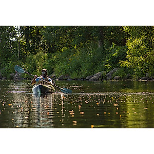 Carlisle Paddles Magic Angler Kayak Paddle with Polypropylene Blades and Wrapped Fiberglass Shaft, 250cm - Photic