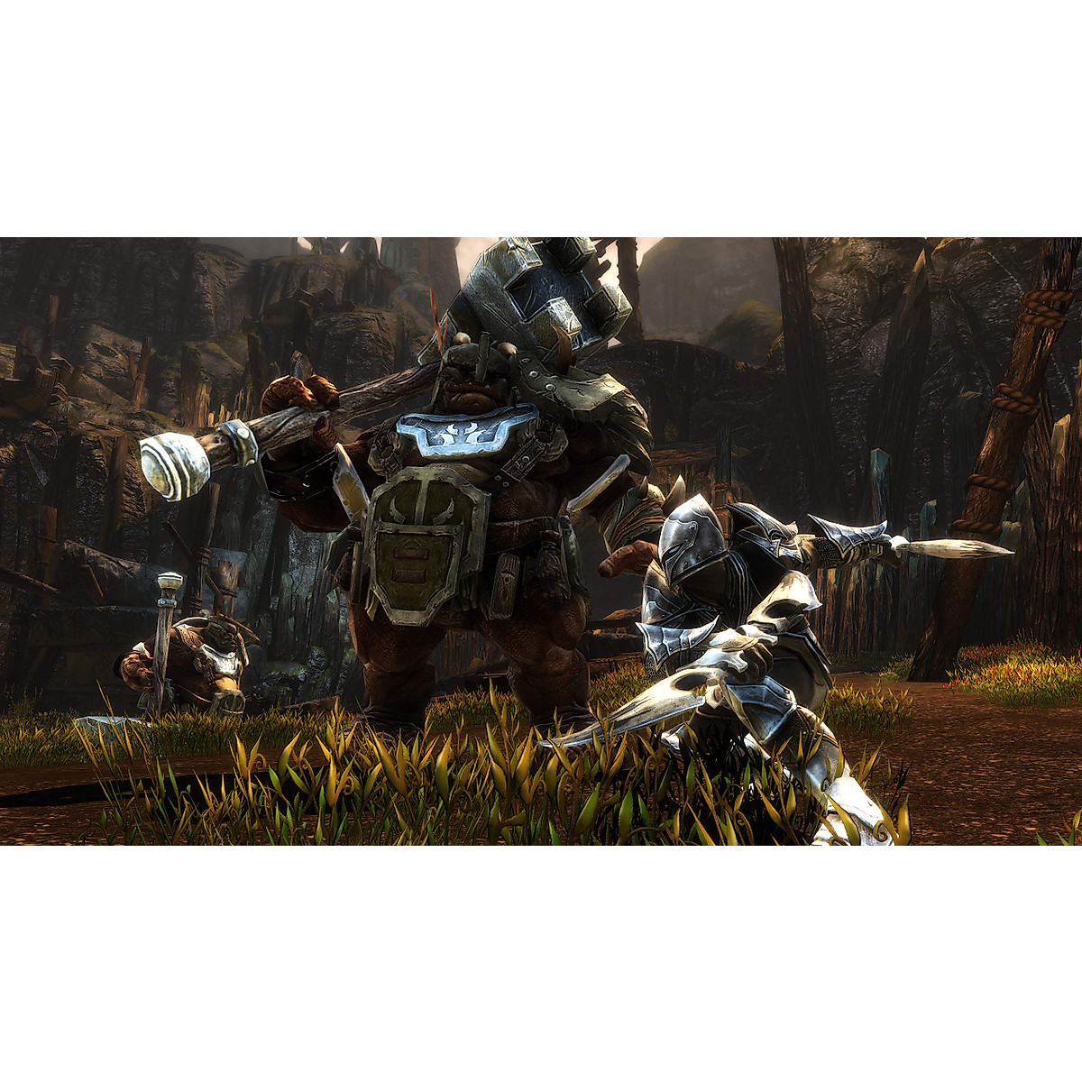 Kingdoms of Amalur Re-Reckoning - Xbox One