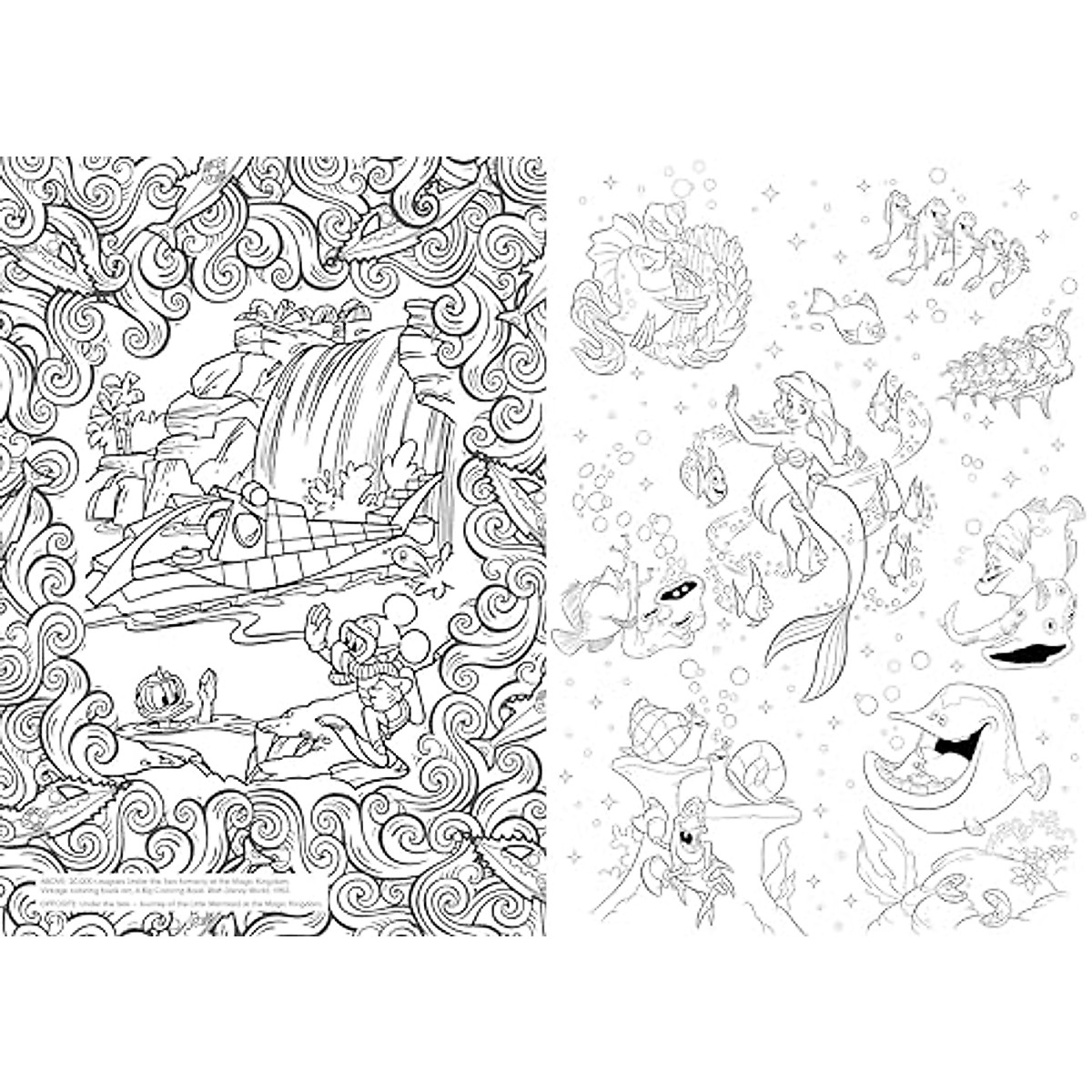 Art of Coloring: Walt Disney World: 100 Images to Inspire Creativity from The Most Magical Place on Earth