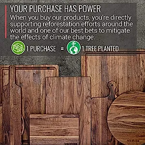 Made in USA Walnut Wood Cutting Board by Virginia Boys Kitchens - Butcher Block made from Sustainable Hardwood (17x11)