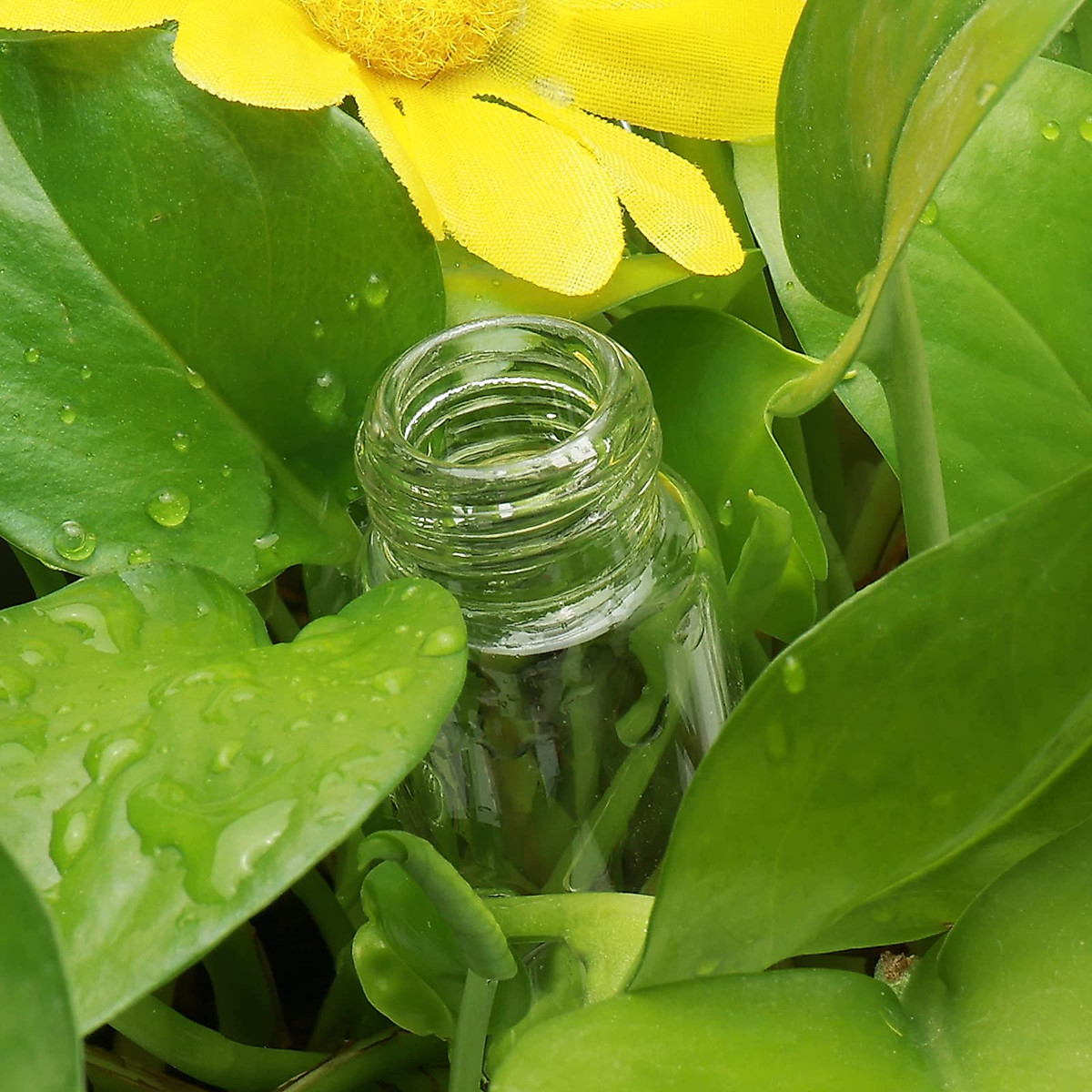 Clear Glass Vials 10ml Empty Vials Bottles Liquid Sampling Sample Glass Bottles Screwcap Capacity 10ml (0.3 Oz) Pack of 10