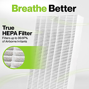 Durabasics 3 Pack of HEPA Filters Compatible with Honeywell Air Purifier Replacement Filters, Honeywell Air Purifier Filters, Honeywell Filter R, Honeywell HEPA Filter Replacement & Honeywell HPA300