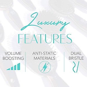 Leyla Milani Hair Detangler Brush - Miracle Brush Human Hair Brushes for Sensitive Scalp, Gentle Detangling, Shine, Volumizing, Nylon Boar Bristle, Best Paddle Brush for Women, Men, Kids (Black)