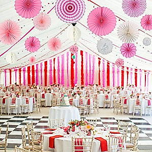 Hanging Party Decorations Set Tissue Paper Fan Paper Pom Poms Flowers and Honeycomb Ball for Wedding Birthday Baby Showers Engagement Party Decor Pink Kit