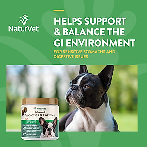 NaturVet Advanced Probiotics, Healthy Enzymes and PB6 Probiotic Supplement for Your Dogs Stomach, 120 Soft Chews & No Scoot for Dogs - 120 Soft Chews - Supports Healthy Anal Gland & Bowel Function
