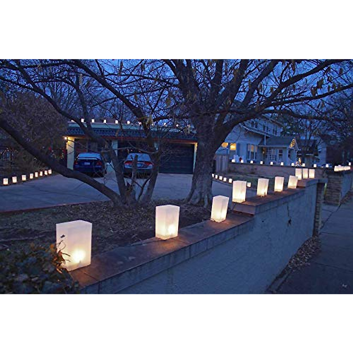 Set of 6 White Luminaries, Warm White LED Tea Lights with Timers & Stakes