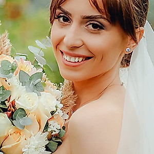 Beyond Brilliance 1.00 Carat Round Cut Lab Grown Diamond Stud Earrings for Women (J, VS2-SI1) Sterling Silver Fine Jewelry | Diamond Jewelry for Women | Gift Box Included