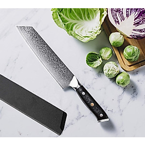 Damascus Chef Knife 8 Inch, Razor Sharp Kitchen Knife Japanese VG-10 Stainless Steel with Premium G10 Handle&Triple Rivet&Gift Box（8 Inches）