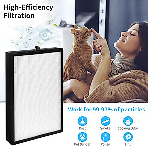 Breabetter 2-Pack H05 True HEPA Replacement Filter Compatible with HIMOX H05 Purifier Only, 3-in-1 Filtration Filter