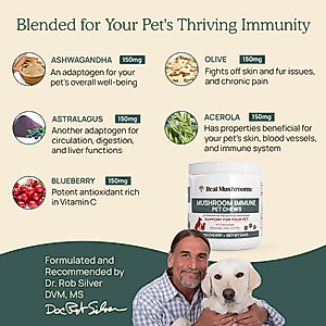 Real Mushrooms Immune Pet Chews (60ct) & 5 Defenders Pet Support (90ct) - Bundle for Immune Strength - Chaga, Shiitake, Reishi, Turkey Tail, Maitake, Ashwagandha, Astragalus & More - Vegan, Non-GMO