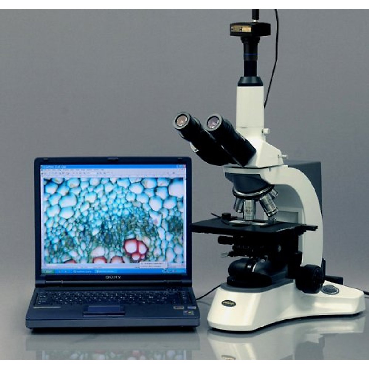 AmScope MU130 1.3MP USB2 Microscope Digital Camera + Editing & Measuring Software, Compatible with Windows XP/Vista/7/8 and Mac OS 10.6 & Up