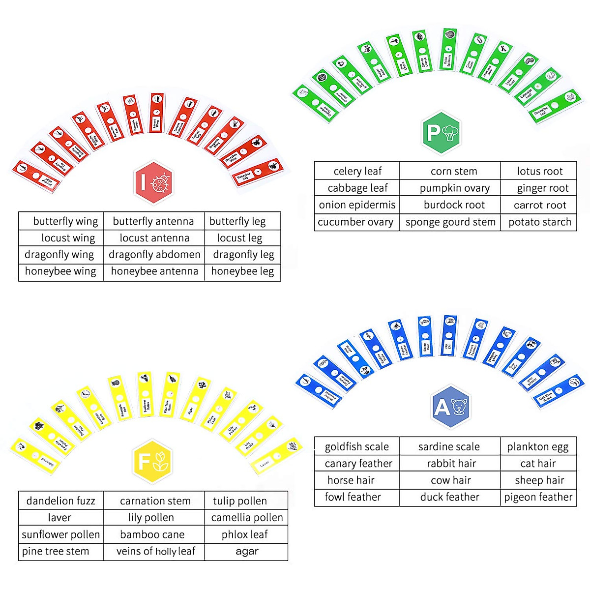 48PCS Kids Plastic Prepared Slides for Microscope of Animals Insects Plants Flowers Sample Specimens for Basic Biological Science Education #81053