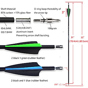 AMEYXGS 31 Inch Carbon Arrow Practice Hunting Arrow for Compound & Recurve Bow Hunting Shooting (Blue)