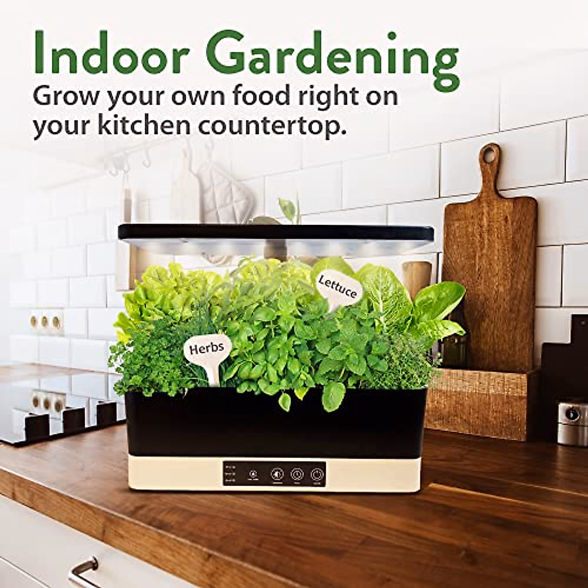 Medicinal Herb Seeds Collection | 6 Heirloom Tea Seeds | Non GMO Lavender, Chamomile, Mint Seeds for Planting Outdoors & Indoors - Lemon Balm, Peppermint, Echinacea | Gardening Gifts for Women & Men