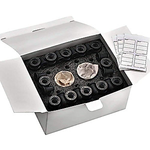 12pcs 30ml Glass dropper Dropper Perfume bottle with non-childproof caps measure scale and strong suction Nozzle bottle with funnel and tags (30ML 12PCS)