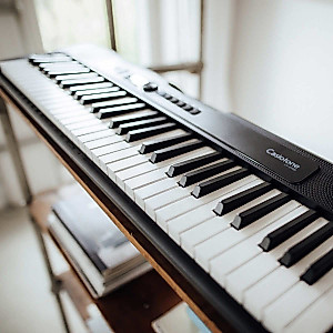 Casio Casiotone, 61-Key Portable Keyboard with USB (CT-S190) w/ Carry Case