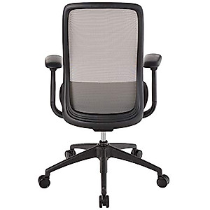 Eurotech Seating Vera Office Chair, Satellite