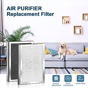 Replacement Filters 2 Pack,3-in-1 Filters Compatible with 25 Air Purifier Series Filter S1/W1/B1, H13 True HEPA and Activated Carbon Filters