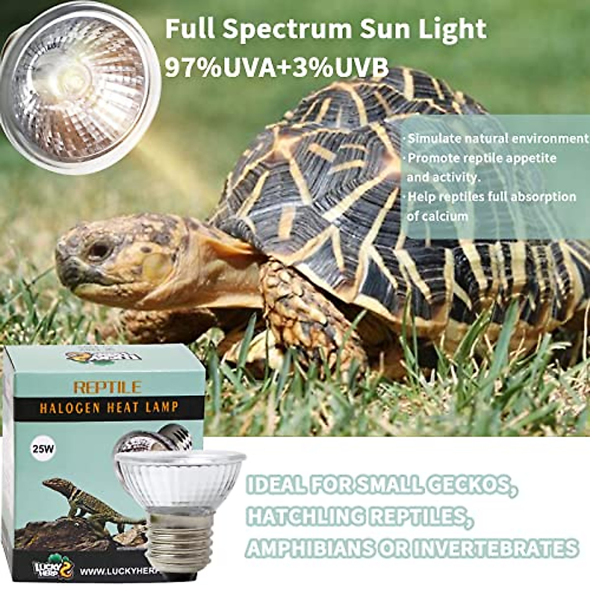 LUCKY HERP 4 Pack 50W UVA UVB Reptile Light Bulbs, Heat Lamp Bulbs for Reptiles and Amphibians, Basking Light Bulb for Turtle, Bearded Dragon, Lizard Heating Use